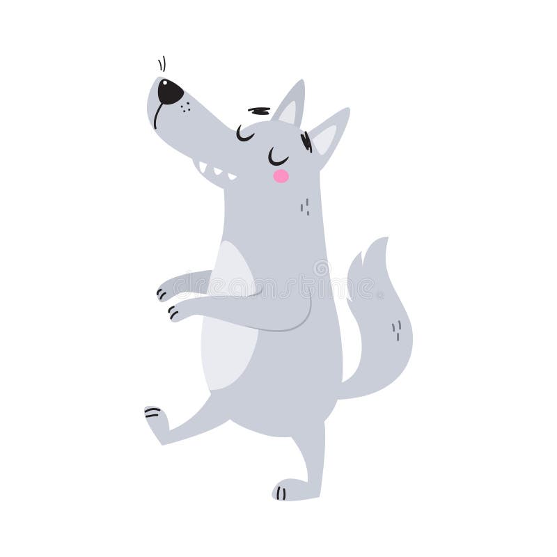 Grey Wolf Character with Pointed Muzzle Walking Vector Illustration ...