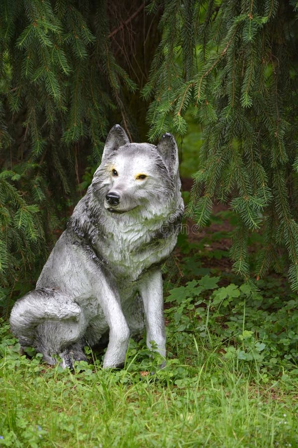 Grey Wolf Under the Fir Tree Stock Photo - Image of landscape, single ...