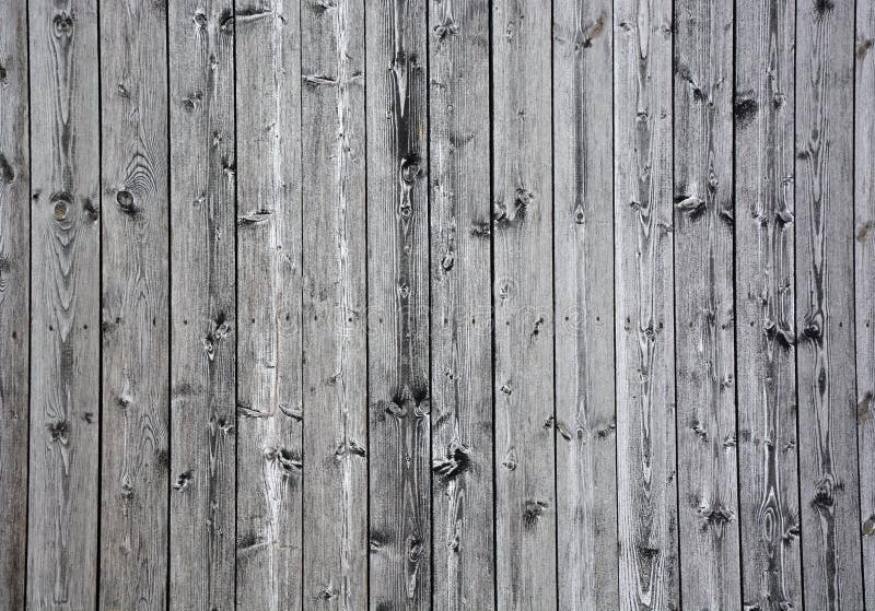 Grey wood stock photo. Image of grey, pattern, grain - 55155056