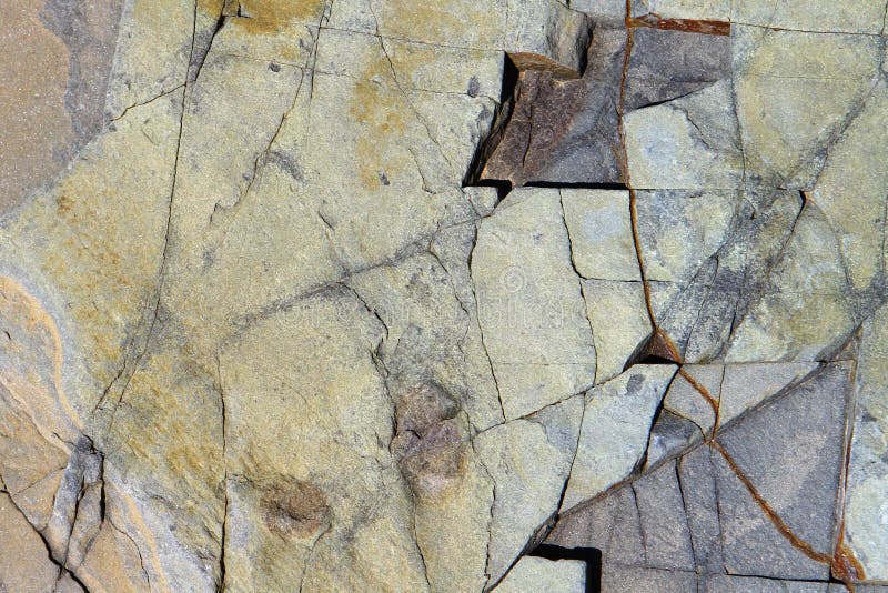 Grey and Yellow Stone Surface Texture with Cracks. Sea Limestone. Stock ...