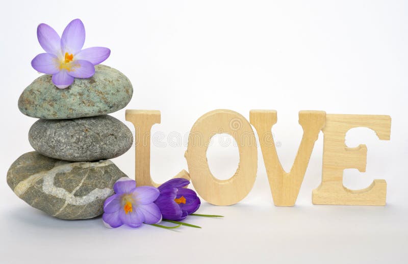 Grey Zen Stones with Bamboo En Crocus on Empty White Background Stock ...