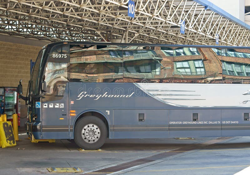 Greyhound Bus Side
