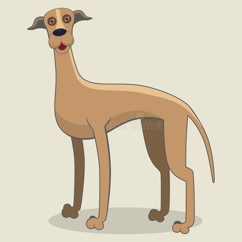 Greyhound Stock Illustrations – 3,355 Greyhound Stock Illustrations ...