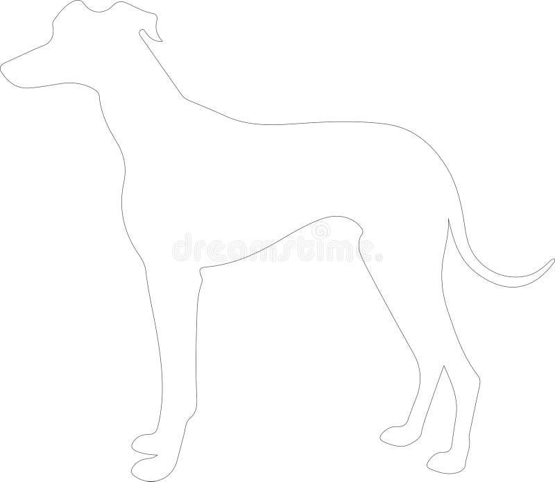 Greyhound Outline Stock Illustrations – 630 Greyhound Outline Stock ...