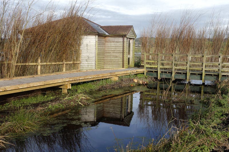 Greylake RSPB Reserve stock photo. Image of greylake - 36641872