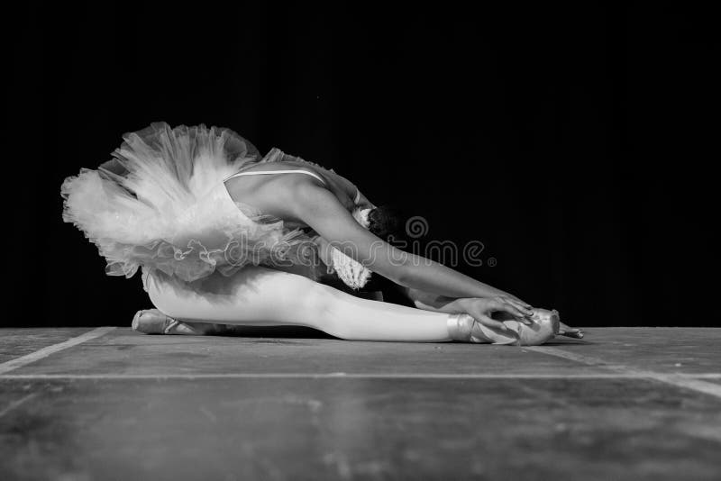 10,661 Greyscale Topo Stock Photos - Free & Royalty-Free Stock Photos ...