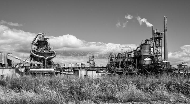 Greyscale of a Factory Surrounded by the Grass Under the Sunlight and a ...