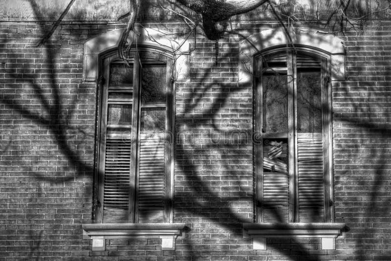 Greyscale of an Old Abandoned House with Tree Shadows on it Under the ...