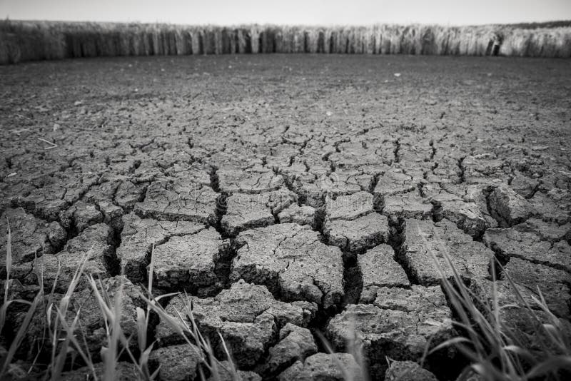 Parched Monochrome Soil Background Stock Photos - Free & Royalty-Free ...