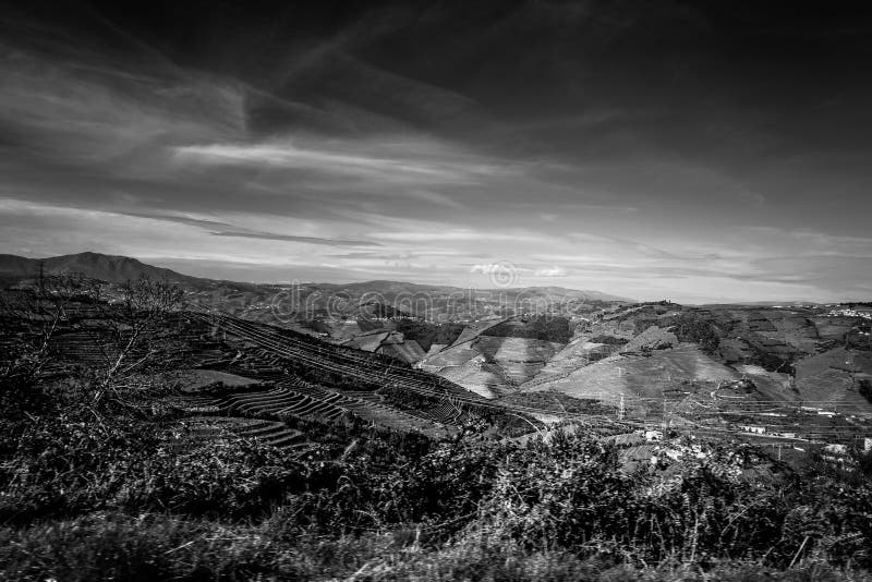 Greyscale Scenery of a Field Under the Gloomy Sky Stock Photo - Image ...