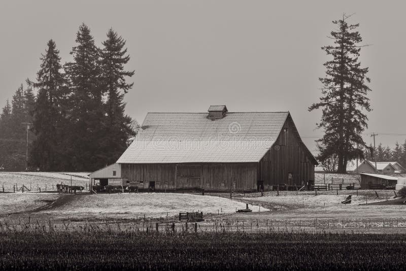 Greyscale Shot of a Barn in a Snowy Area Stock Photo - Image of ...