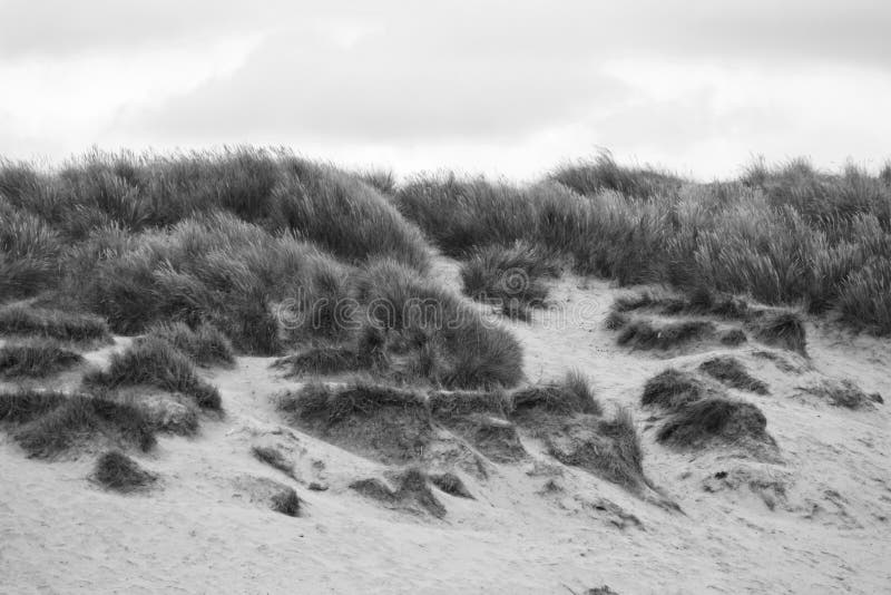 Greyscale of the Beach Surrounded by Rocks and a Wavy Sea Under a ...