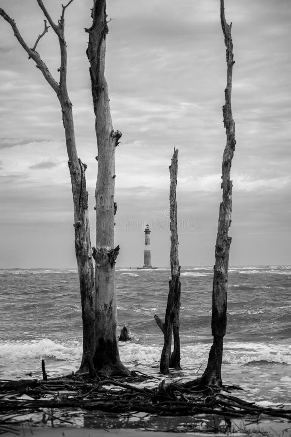 Greyscale Shot of the Morris Island Lighthouse Stock Photo - Image of ...