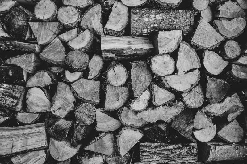 Greyscale Shot of a Pile of Cut Logs for Burning Stock Image - Image of ...