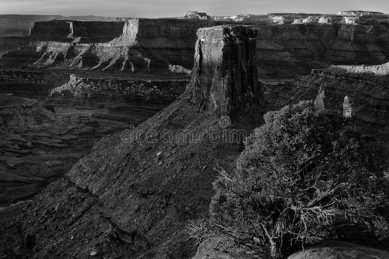 Greyscale Shot of Rock Formations in the Middle of the Canyon Stock ...