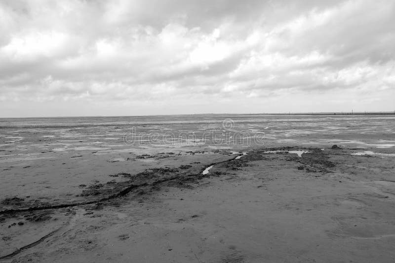 Greyscale Shot of the Sandy Beach Captured on a Cloudy Day Stock Photo ...