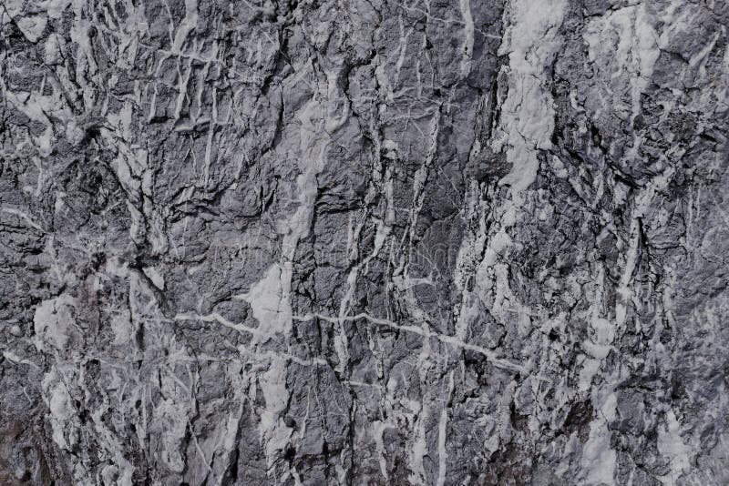 Greyscale Shot of the Textures and Patterns of a Rough Surfac Stock ...