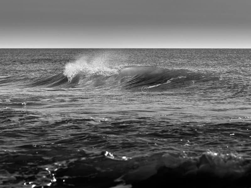 Greyscale Shot of the Waves of the Sea Stock Image - Image of coast ...