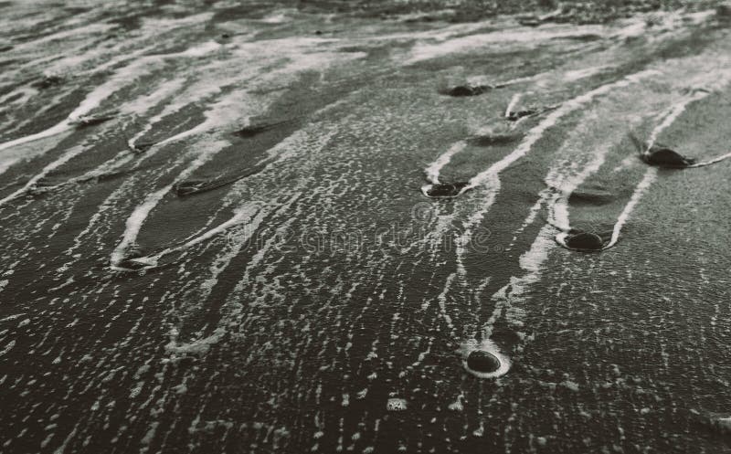 Greyscale of Stones on the Beach Surrounded by the Sea Under Sunlight ...