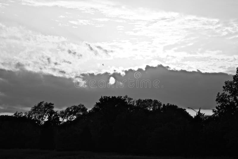 Greyscale of Tree Silhouettes Under a Cloudy Sky and Sunlight Stock ...