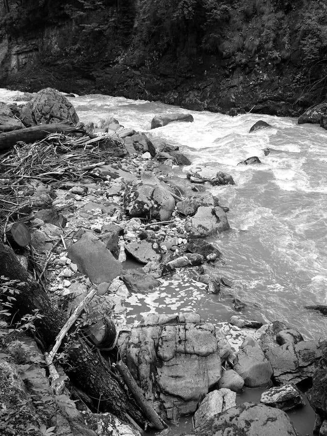 Greyscale of a River in a Valley Covered with Greenery with Trees and ...