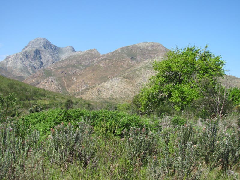 Greyton Area Stock Photos - Free & Royalty-Free Stock Photos from ...