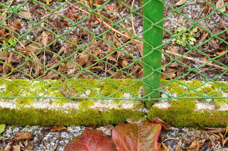 Grid fence stock photo. Image of green, grid, close, fence - 49376036