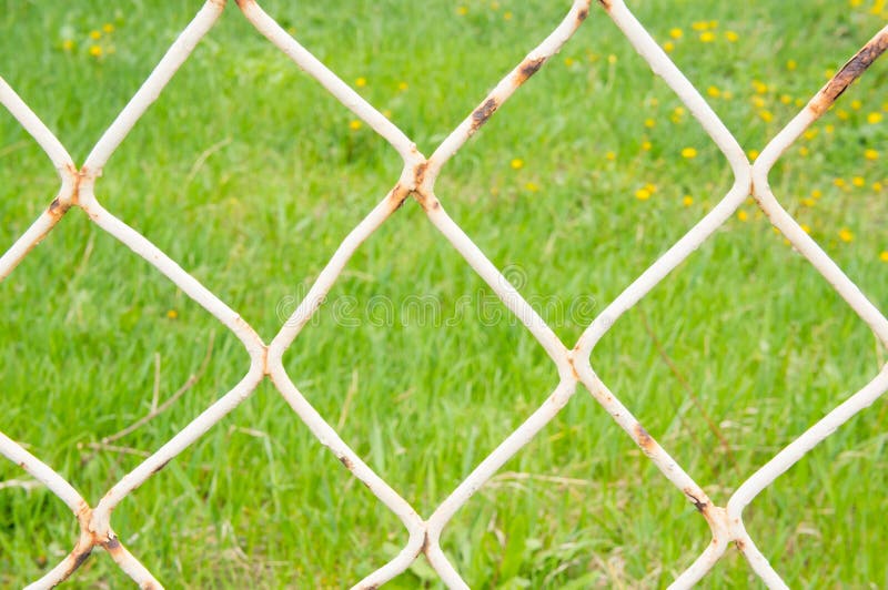 Grid fence stock photo. Image of texture, grid, close - 30649370