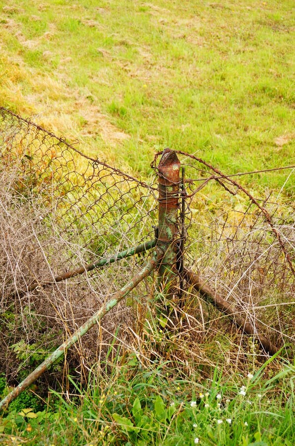 Grid fence stock image. Image of grid, green, grass, fence - 44425593