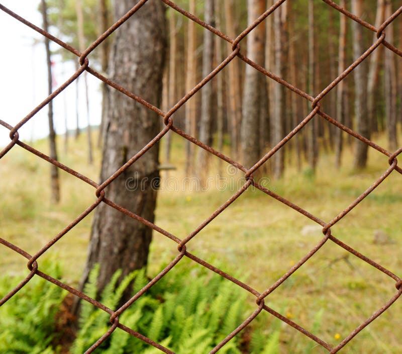 Grid fence stock photo. Image of structure, secure, outdoor - 36698482