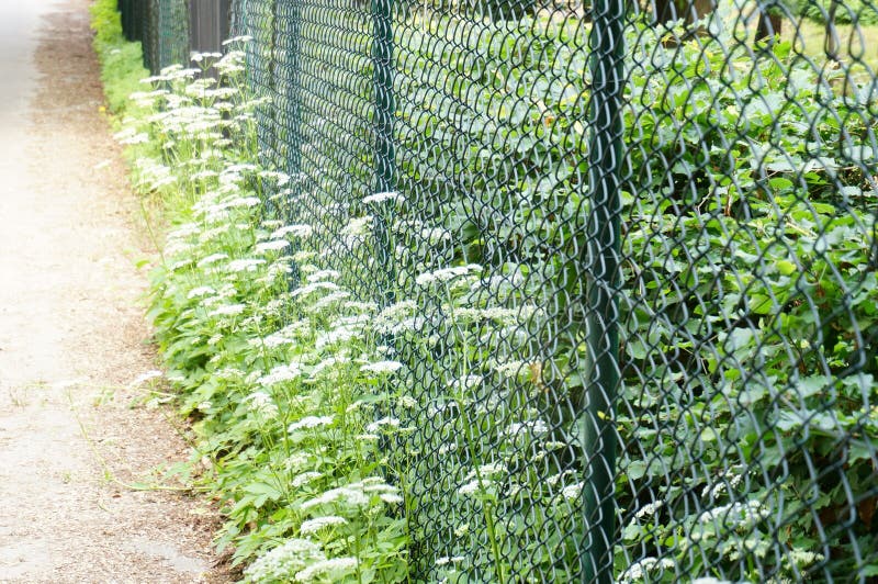 Grid fence stock photo. Image of industry, industrial - 31879690
