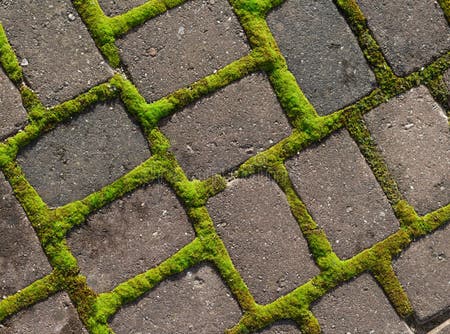 Grid Grass Paving Stones Stock Photos - Free & Royalty-Free Stock ...