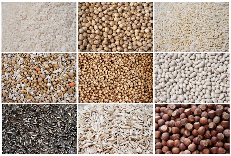 Healthy Dried Vegetable Pulses Stock Image - Image of food, kidney ...
