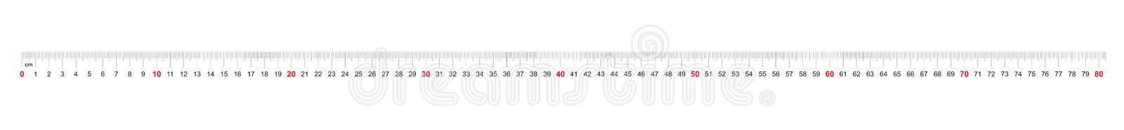 Ruler of 600 Millimeters. Ruler of 60 Centimeters. Calibration Grid ...