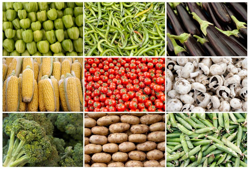 Grid of Vegetables and Fruits Stock Photo - Image of bell, leaf: 37856956