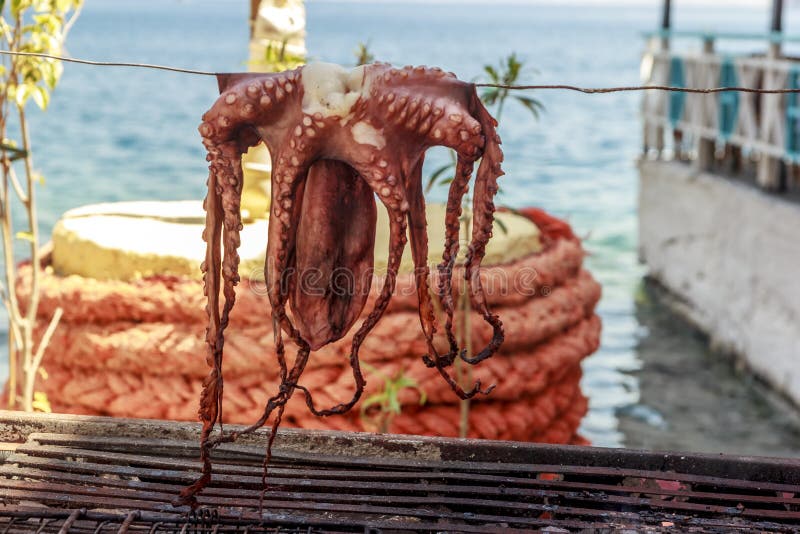 Pulpo Griego, comiendo imagen de archivo. Imagen de colorido - 110423797