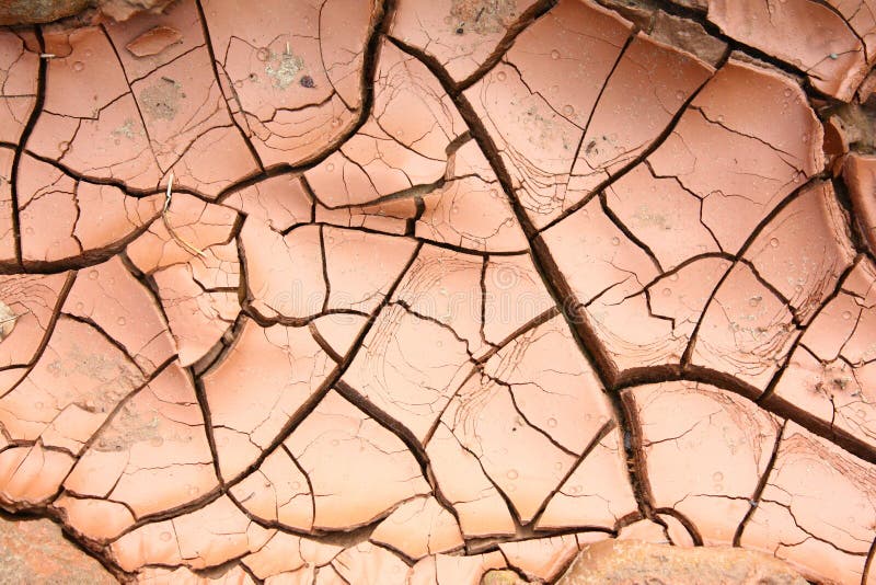 Grietas de la desecación foto de archivo. Imagen de roto - 21694206