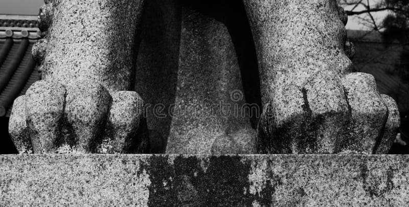 Griffes de lion photo stock. Image du chats, durée, animal - 1628266