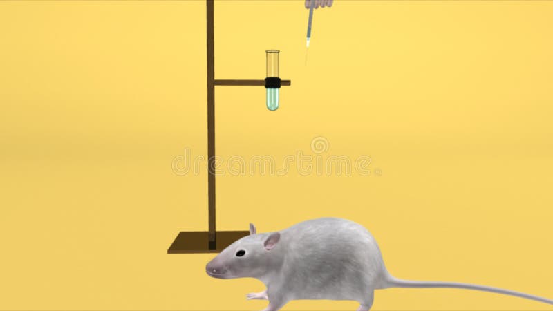 GRIFFITH EXPERIMENT INJECTED TO MICE DEATH Stock Footage - Video of ...