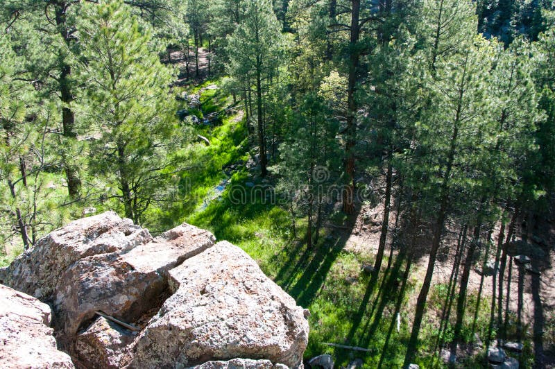 Griffith Spring Trail No. 189 Picture. Image: 91754717