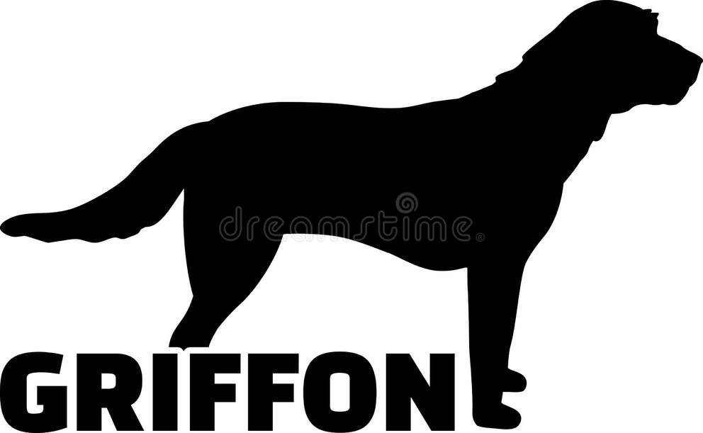 Griffon Silhouette Real Word Stock Vector - Illustration of silhouette ...