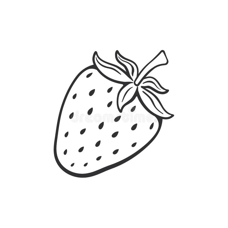 Griffonnage De La Fraise Douce Illustration de Vecteur - Illustration ...
