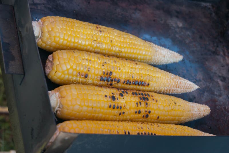 Griled corn - outdoor stock image. Image of healthy, grilled - 76998605
