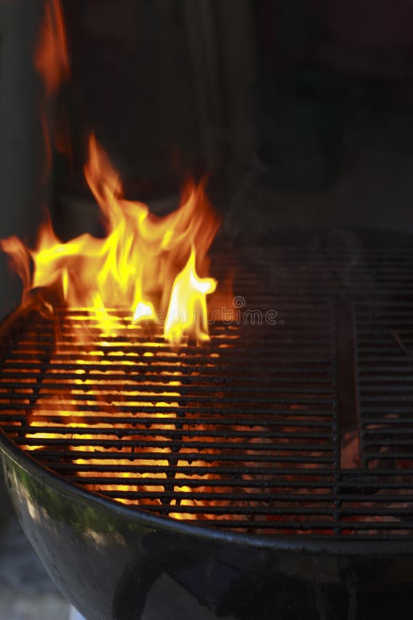 Grill auf Feuer stockfoto. Bild von nahrhaft, pinsel - 50099828