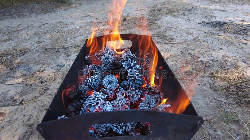 Summer BBQ Prep Pine Cones Smoldering in the Grill Stock Video - Video ...