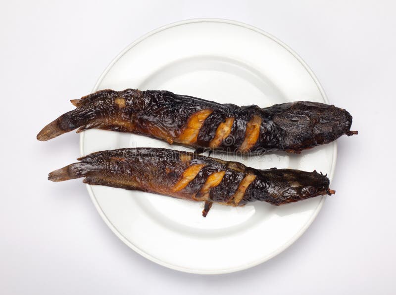 Grill catfish stock photo. Image of catfish, asia, dish - 36008832