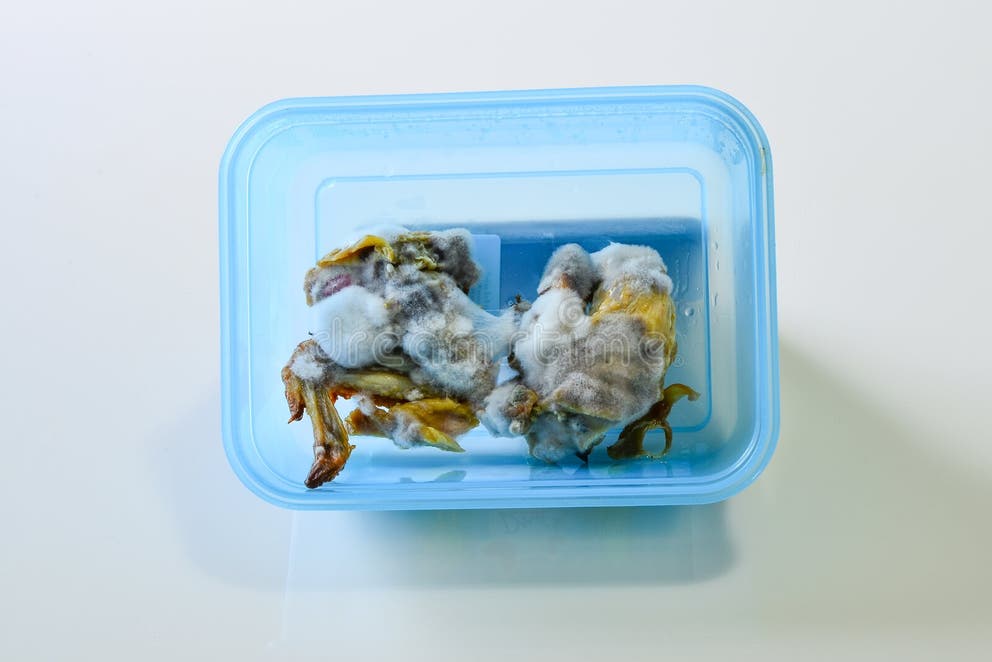 Grill Chicken with the Mold Stock Image - Image of brown, mold: 76408239