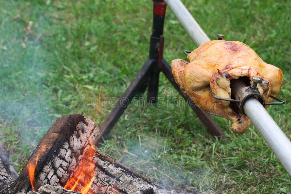 Chicken on Open Fire Grilling Stock Image - Image of barbecue, campfire ...