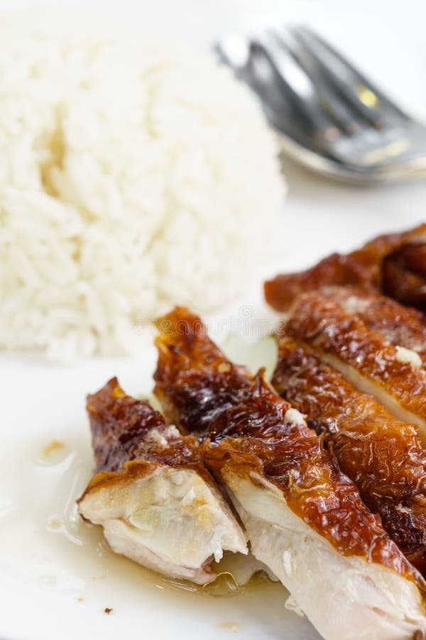 Grill chicken rice stock image. Image of plate, grilled - 57138441