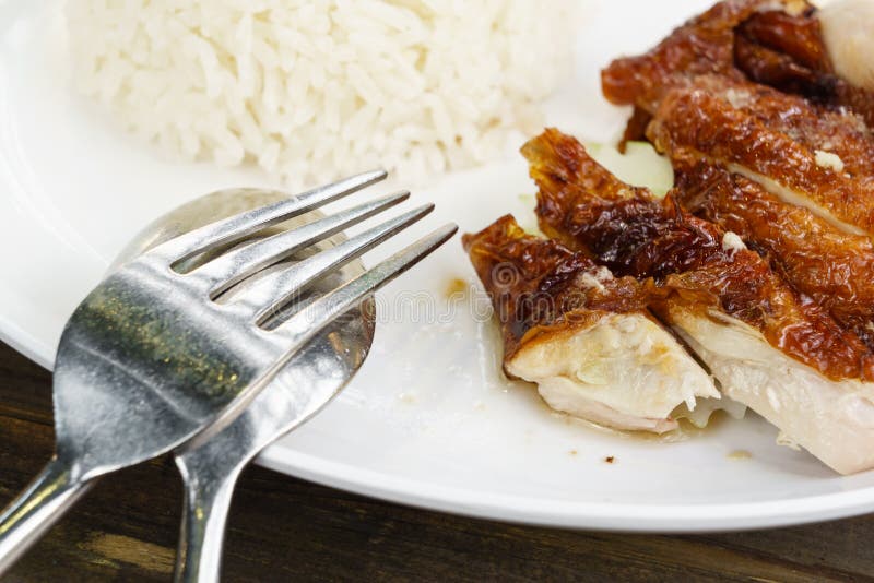 Grill chicken rice stock photo. Image of tasty, spicy - 57138486